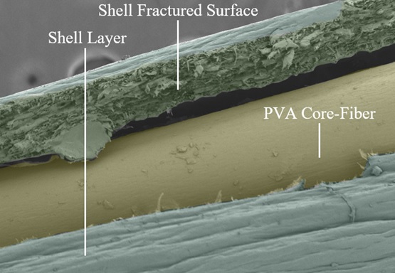 Microbial Polymeric Fiber for Concrete Self-Healing – Drexel AIM Lab