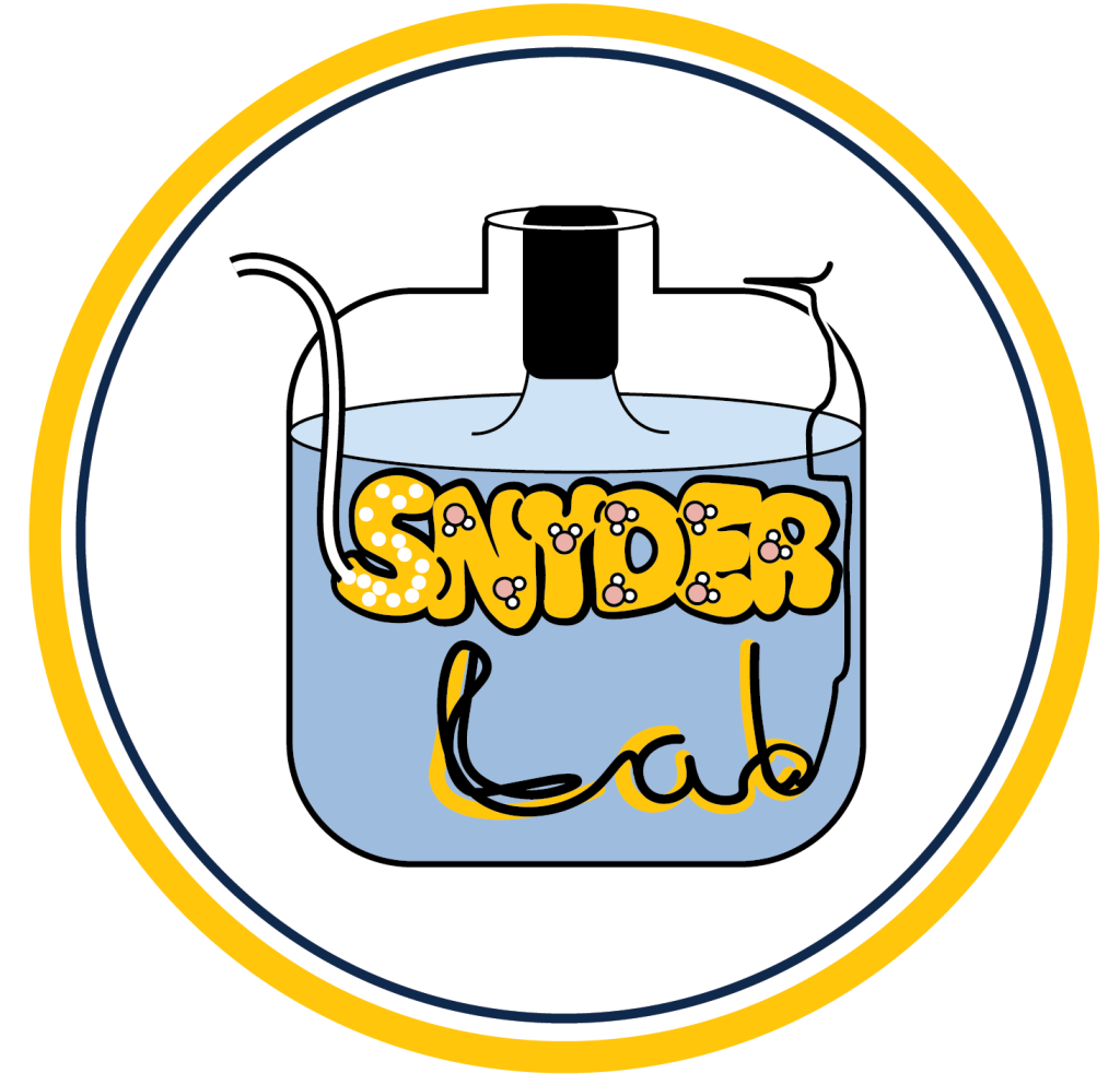 Meet the Lab – Electrochemical Interfaces and Catalysis Group