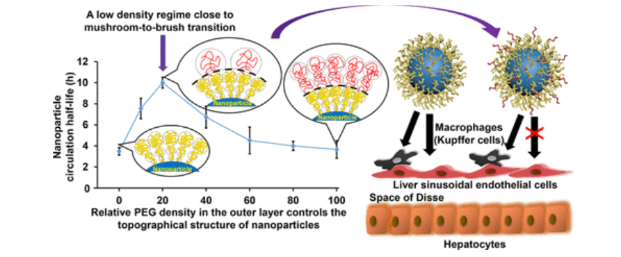 Publication – Soft Materials Group