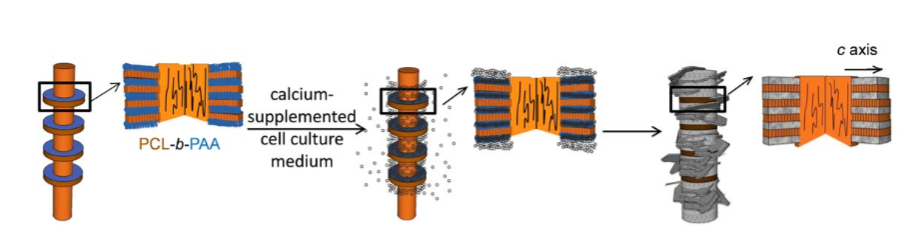 Publication – Soft Materials Group