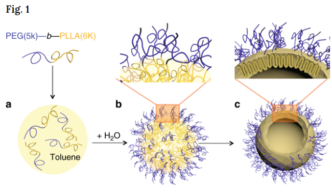 Publication – Soft Materials Group