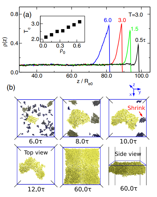 Publication – Soft Materials Group
